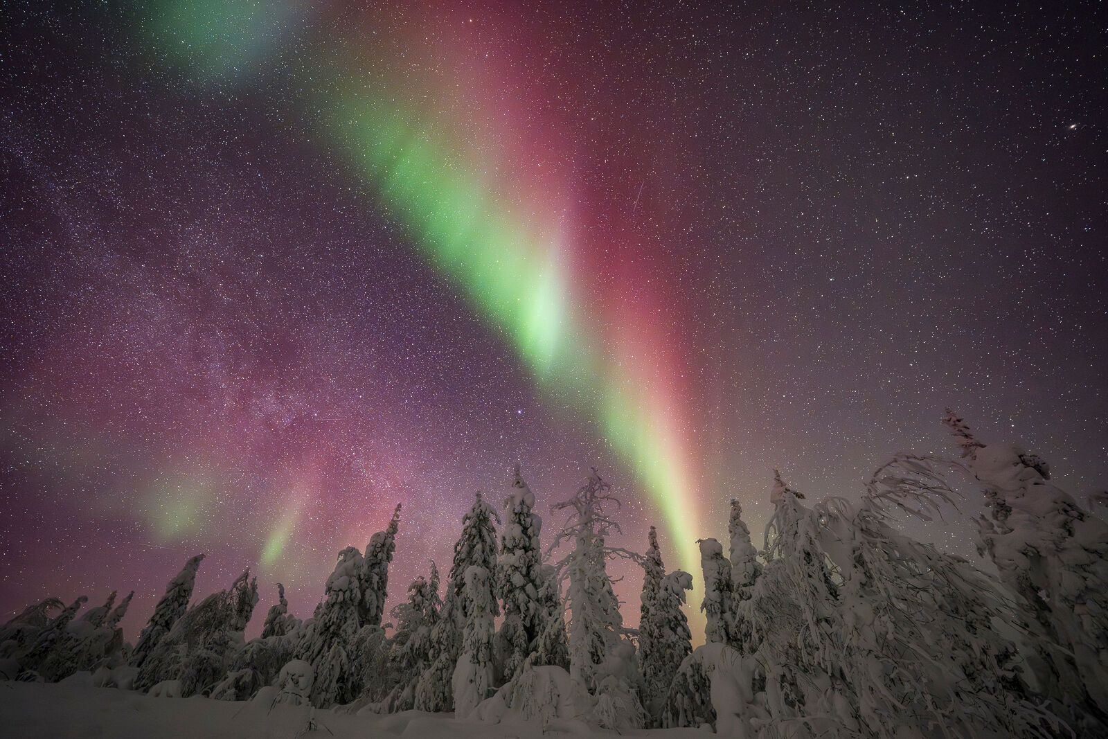 Alaska | Carl Johnson Photography