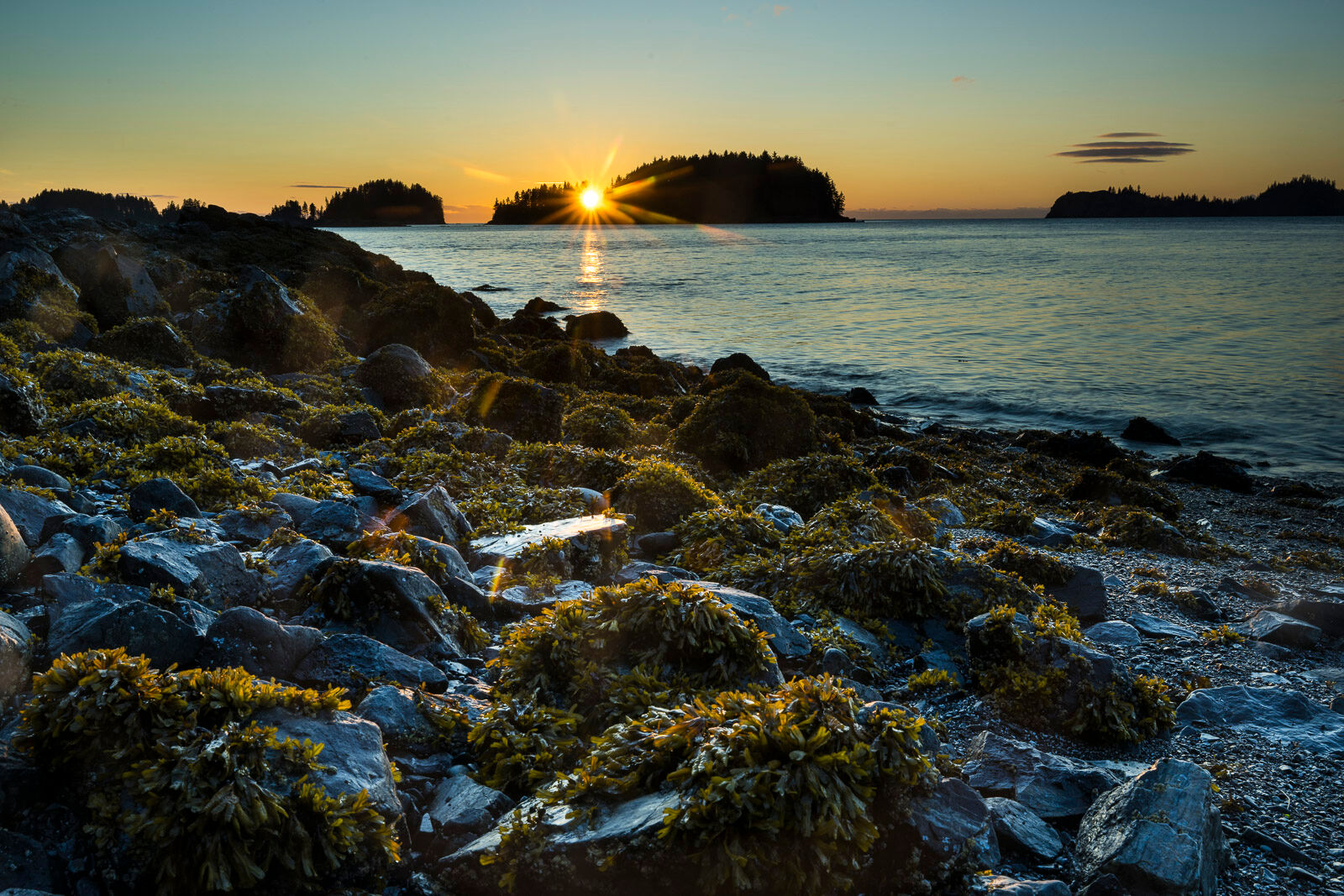 Tidal Sunset | Carl Johnson Photography