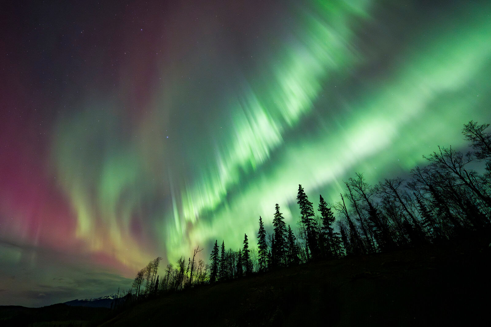 Look Behind You | Carl Johnson Photography