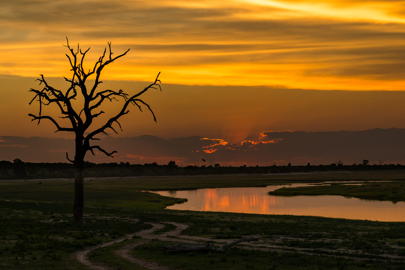 Chobe Sunset | Carl Johnson Photography