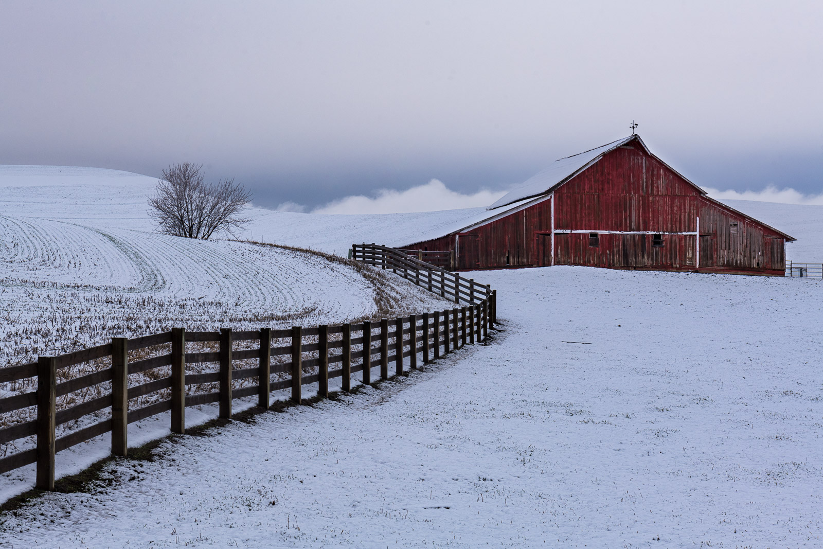 Palouse Barn | Carl Johnson Photography